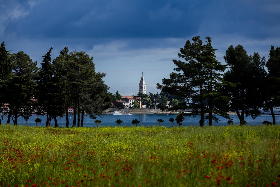 Poljoprivreda – Grad Novigrad-Cittanova | La Città di Novigrad-Cittanova